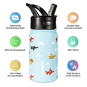 BJPKPK Water Bottle with Straw Lid, 15oz Insulated Water Bottle, Stainless Steel Metal Water Bottles, Reusable Leak Proof BPA Free Thermos, Flask, Cups, Aircraft