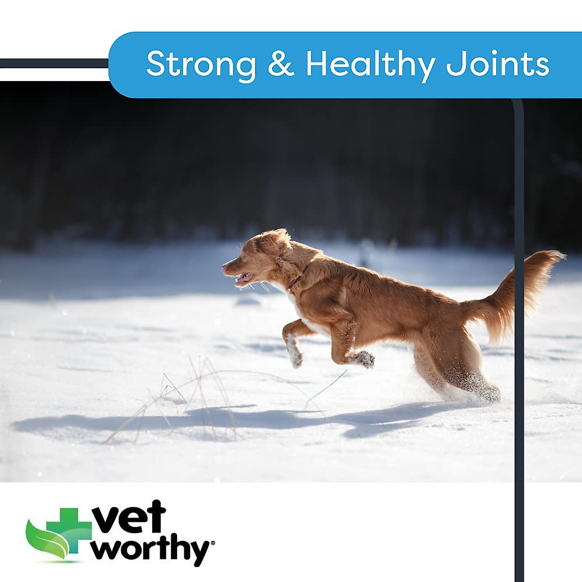 Vet Worthy Joint Support Level 2 | Eases Joint Stiffness Due to Normal Daily Exercise and Activity | Dog Supplement with Glucosamine, Chondroitin, Vitamin C, MSM | Liver Flavor Soft Chews 30 Count