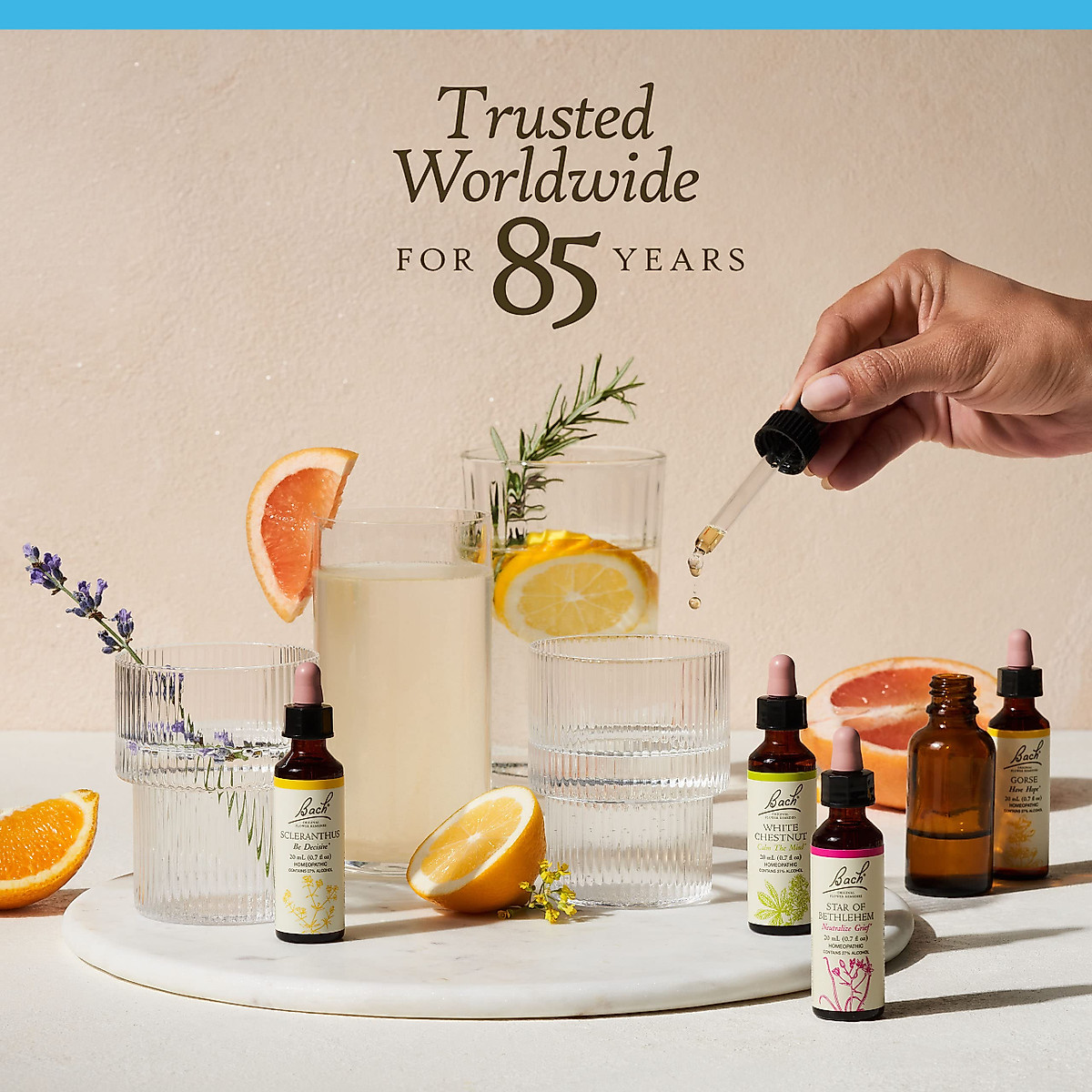 Bach Original Flower Remedies, Chicory for Unconditional Love, Natural Homeopathic Flower Essence, Holistic Wellness and Stress Relief, Vegan, 20mL Dropper