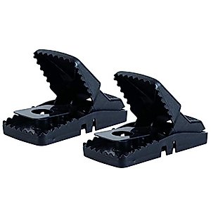 Tomcat 7201981 Rat Snap Trap, 2 Pack, Brown/A