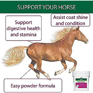 Stance Power Powdered Coconut Oil Horse Supplement - May Support Coat Condition, Digestive Health and Stamina, GMO & Sugar Free - 15 lb