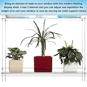 Generic Hanging Window Plant Shelf in Clear Acrylic with Bonus Wall Mounted Herb or Flower Pot – 2 Height Adjustable Shelves, Kitchen Window Garden, Indoor Plants, Display Shelf. L20” x H34” x D6”