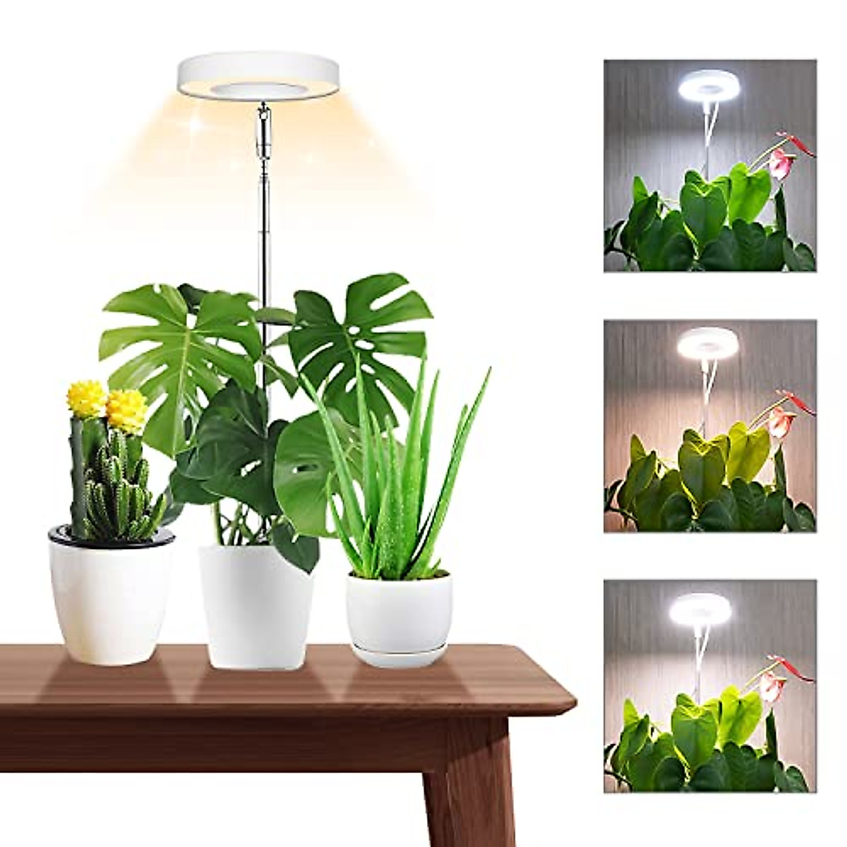 Grow Lights for Indoor Plants, 48LEDs Full Spectrum Halo Grow Light with Auto On/Off Timer, 3 Optional Spectrums, Height Adjustable,10 Brightness, Small Grow Light for Seed Starting, Succulents