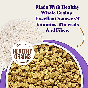 Halo Holistic Cat Food Dry, Wild-caught Whitefish Recipe for Sensitive Stomach Support, Complete Digestive Health, Dry Cat Food Bag, Sensitive Stomach Formula, 6-lb Bag