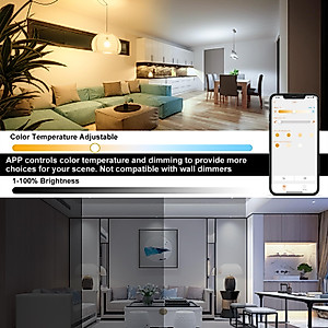 Sobrovo Alexa Led Light Bulbs, A19 E26 Smart Bulb, 130W Equivalent, Warm White to Daylight, 13 Watt Bluetooth Remote Control Light Bulb,Energy Saving,for Kitchen Bedroom Indoor,1 Pack