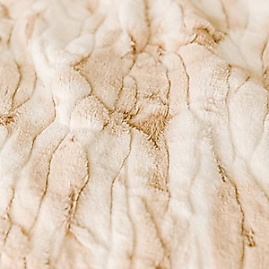 Minky Designs Minky Blankets | Posh Level Comfort | Ideal for Adults, Kids, Teens | Super Soft, Warm & Cozy…