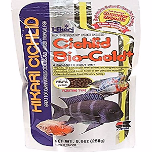 Hikari 8.8-Ounce Cichlid Bio-Gold and Floating Pellets for Pets, Mini