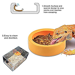 3Pcs Reptile Feeding Tongs Long Tweezers Cricket Clamp Bug Scooper and 2Pcs Reptile Food Bowl Lizard Gecko Food Water Dish Bearded Dragon Feeding Dish, Ceramics Worm Dish