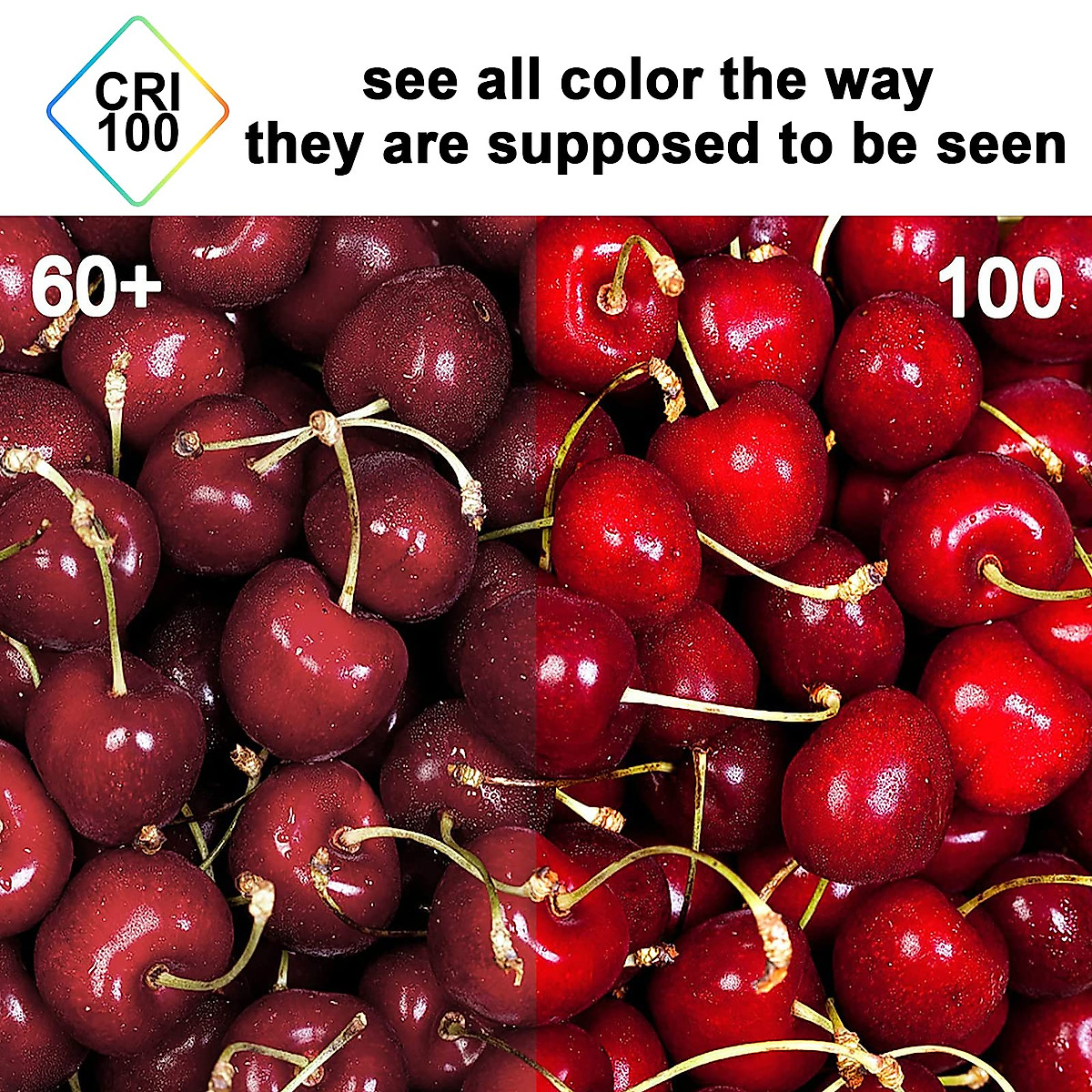 VITUNOV G8 Halogen Bulb 120V 20W Xenon Under Cabinet Lighting Replacements T4 Type 2 Pin Base Dimmable 2700K Warm White (12 Pack)