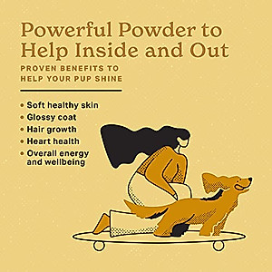 The Missing Link Skin & Coat Probiotics Superfood Supplement Powder for Dogs - Omegas 3 & 6, Fiber, Vitamin-E, Biotin - Supports Healthy Skin & Glossy Coat, Promotes Hair Growth - 1lb