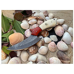 NUSHBA 017 Handmade Fixed Blade Hunting Skinner Knife, Damascus Steel Blade, Camal Bone Handle -Best Hunting Knife with Cow Brown Leather Sheath