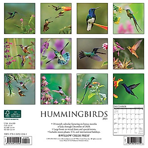 Hummingbirds 2021 Wall Calendar