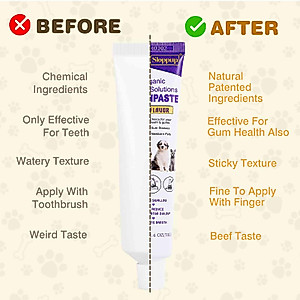 Toothpaste | Teeth Cleaning and Fresh Breath Dental Care for Ragamuffin Cat Kittens and Adult Cats | Soothes Inflamed Gums | Safe for Puppies | Vet Formulated 1 Pack (2.4 OZ)