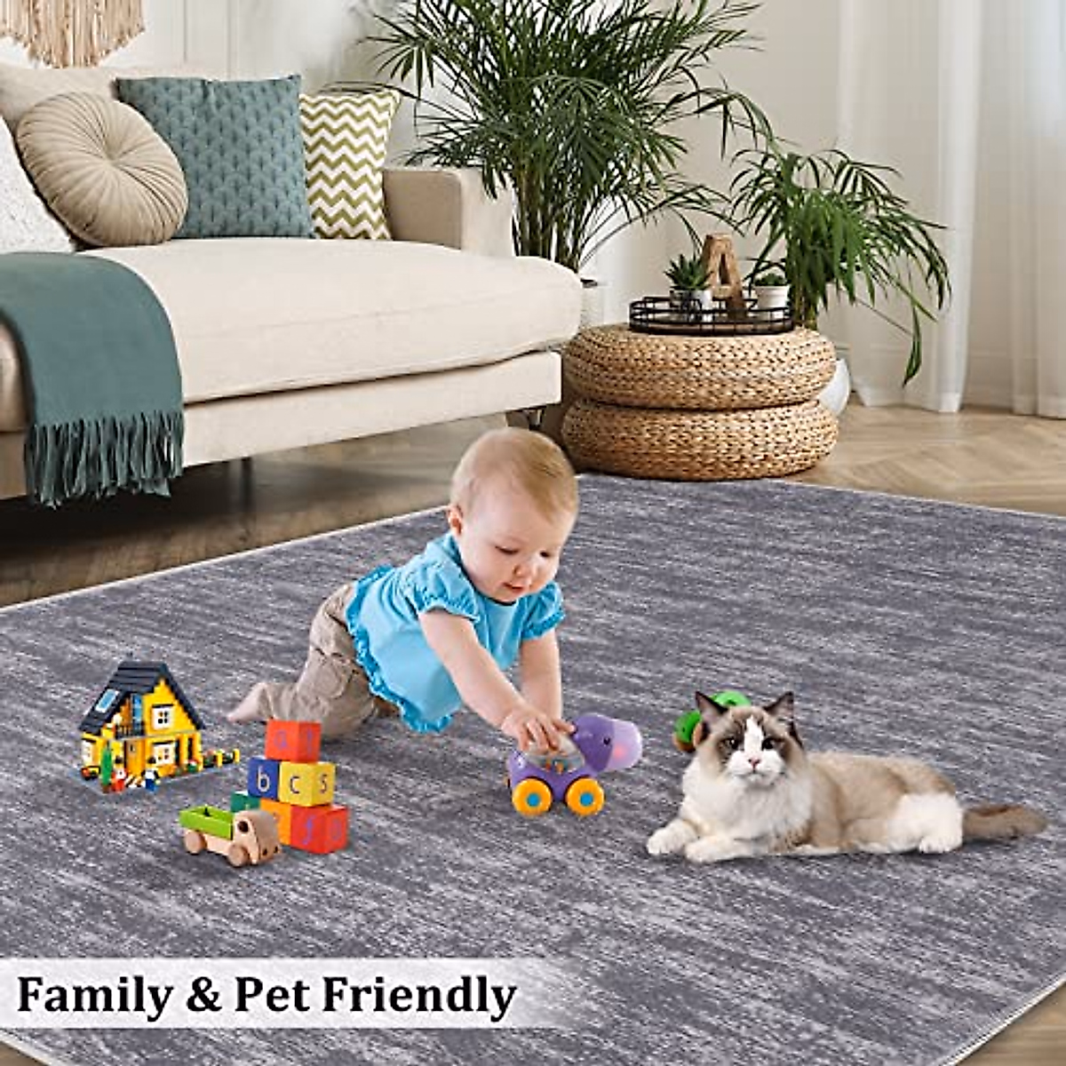 RUGSREAL Small Contemporary Area Rug Modern Solid Indoor Throw Carpe Machine Washable Non-Slip Low-Pile Area Rug for Living Room Bedroom Laundry, 2' x 3' Grey