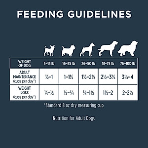 Instinct Raw Boost Gut Health Grain Free Recipe with Real Chicken Natural Dry Dog Food by Nature's Variety, 4 lb. Bag