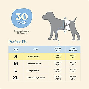 Comfortable Male Dog Diapers - 30-Pack Super Absorbent Disposable Male Dog Wraps- FlashDry Gel Technology, Wetness Indicator Doggie Diapers- Leakproof Belly Wraps for Incontinence, Excitable Urination