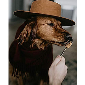 BUDDY BUDDER Bark Bistro Company, Ruff Ruff Raw, 100% Natural Dog Peanut Butter, Healthy Peanut Butter Dog Treats, Dog Enrichment, Dog Pill Pocket, Made in USA, (17 oz Jars)