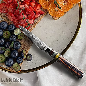 WKNDKIT Damascus VG-10 Stainless Steel Small 3.5 inch Paring knife japanese Kitchen knife with wood Handle, Super Sharp, Fancy Fruit and vegetable Knife