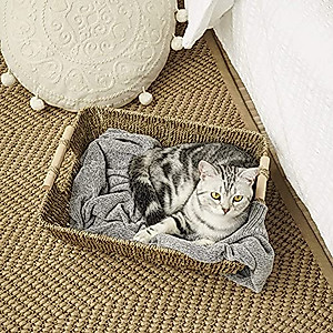 StorageWorks Hand-Woven Seagrass Wicker Baskets Set