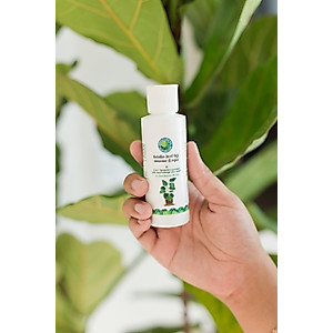 Fiddle Leaf Fig Rescue Drops by Fiddle Leaf Fig Plant Resource | 3-in-1 Liquid Fertilizer, Root Supplement & Immunity Booster (3.3 Fluid Ounces - 100ml)