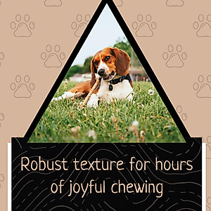 Pawsitive Cravings Monster Bully Sticks - 12 Inch All-Natural Bully Sticks for Dogs - Fully Digestible & 100% Grass-Fed Beef Sticks - Supports Dental Health - Extra-Thick Chews for Dogs - Pack of 3