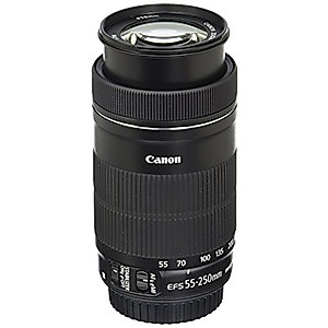 Canon EF-S 55-250mm F4-5.6 is STM