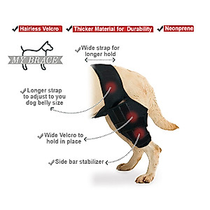 Dog Knee Brace Hind Leg Cruciate Ligament Injury for Torn ACL CCL Joint Pain Muscle Sore Inflammation (Medium)