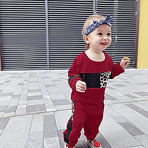 WESIDOM Baby Girl Clothes Sets, 2pcs Autumn Long Sleeve Clothes Outfits Toddler Girl Sweater Sets