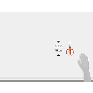 CHIKAMASA B-500SF Stainless Steel Fluorine Treated Grape Care Shears