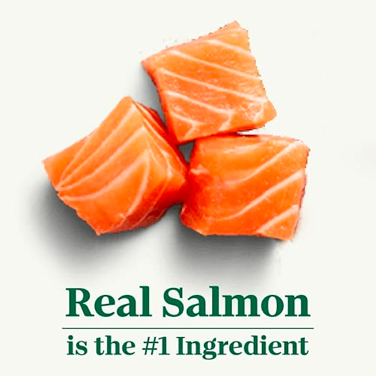 Nutro Natural Choice Small Bites Adult Dry Dog Food, Salmon & Brown Rice Recipe, 28 lb. Bag