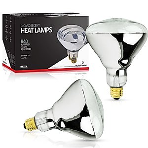 BULBMASTER 250 Watt Heat lamp Bulb for Bathroom R40 Incandescent Shower Heat Lamp Clear Infrared Bath Light 250R40 Chicken Light Bulb E26 Base 2 Pack