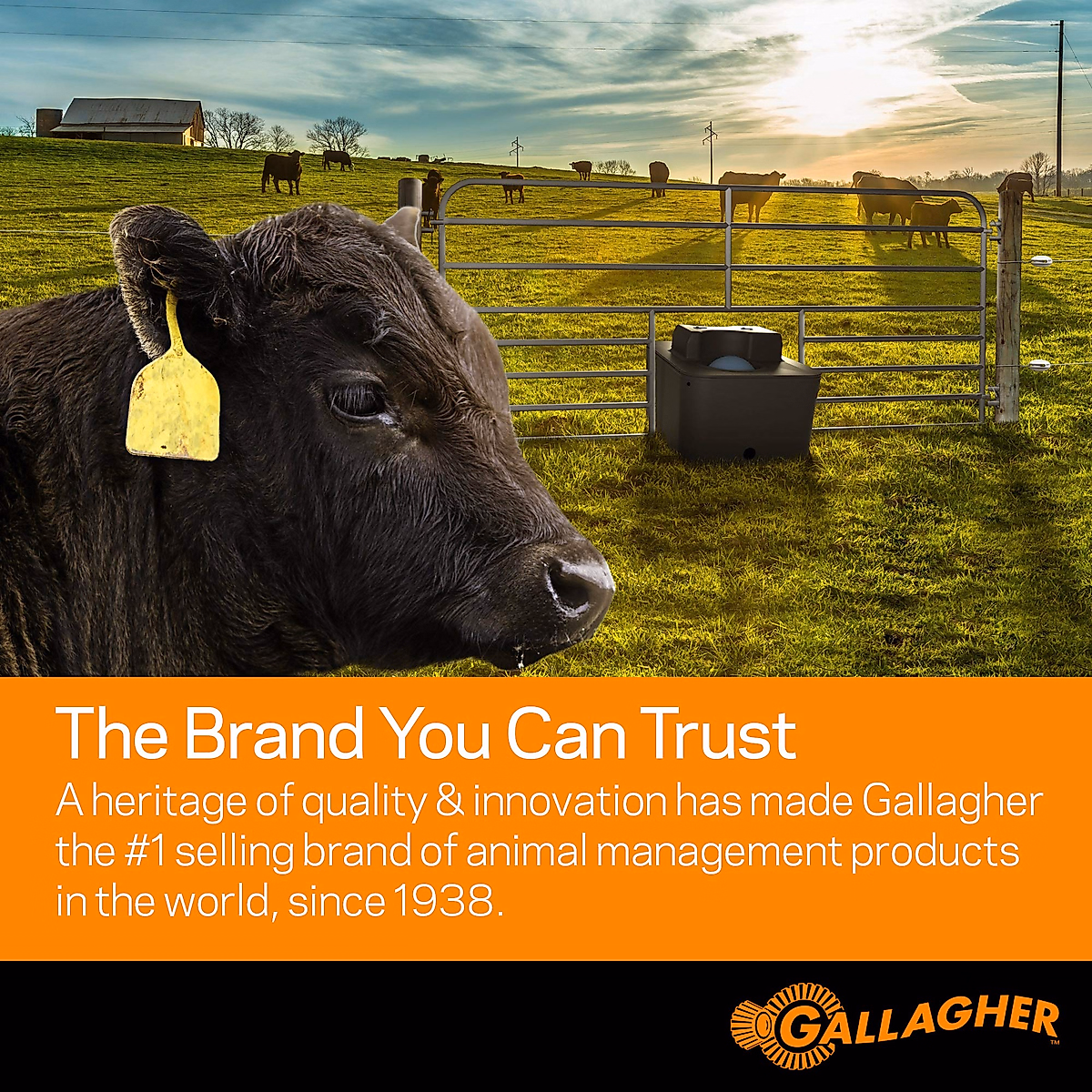 Gallagher G345404 S40 Solar Fence Charger - Quantity 1