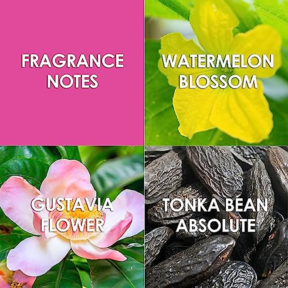 Britney Spears Jungle Fantasy Limited Edition Eau De Toilette Spray for Women, 1.0 Fl Oz