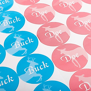 PROLOSO Baby Shower Gender Reveal Voting Board Team with Pink & Blue Stickers (Buck or Doe)