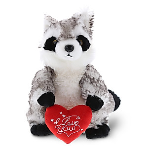 DolliBu I Love You Valentine Plush Raccoon - Cute Stuffed Animal with Red Heart and Name Personalization Gift for Valentines Day, Birthday, Anniversary, Romantic Date - 9 Inches