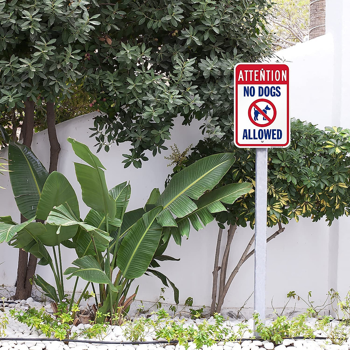 SmartSign Attention No Dogs Allowed Sign - 2 Pack, 18 x 12 inch, 2mm Aluminum Composite, Pre-Drilled Holes, Blue/Red on White, Made in USA