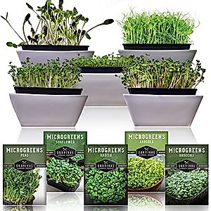 Survival Garden Seeds Microgreens 5 Pack - Instructions to Plant, Sprout, and Grow a Mix of Microgreen Plants in Your Kitchen or on Your Windowsill - Arugula, Broccoli, Radish, Pea, Sunflower Seed