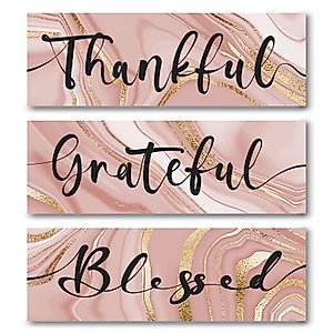 3 Pieces Funny Rustic Wooden Art Wall Hangings Set, Thankful Grateful Blessed, Pink Gold Marble Style Wood Signs 12 X 4 Inches for Home, Living Room, Bedroom, Office, Cafe, Hotel Wall Decor