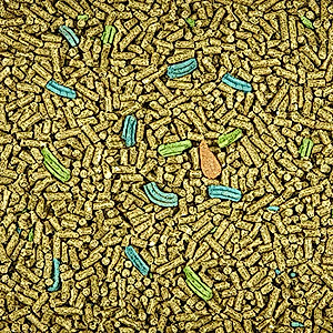 Kaytee Forti Diet Pro Health Guinea Pig Food, 25-Pound