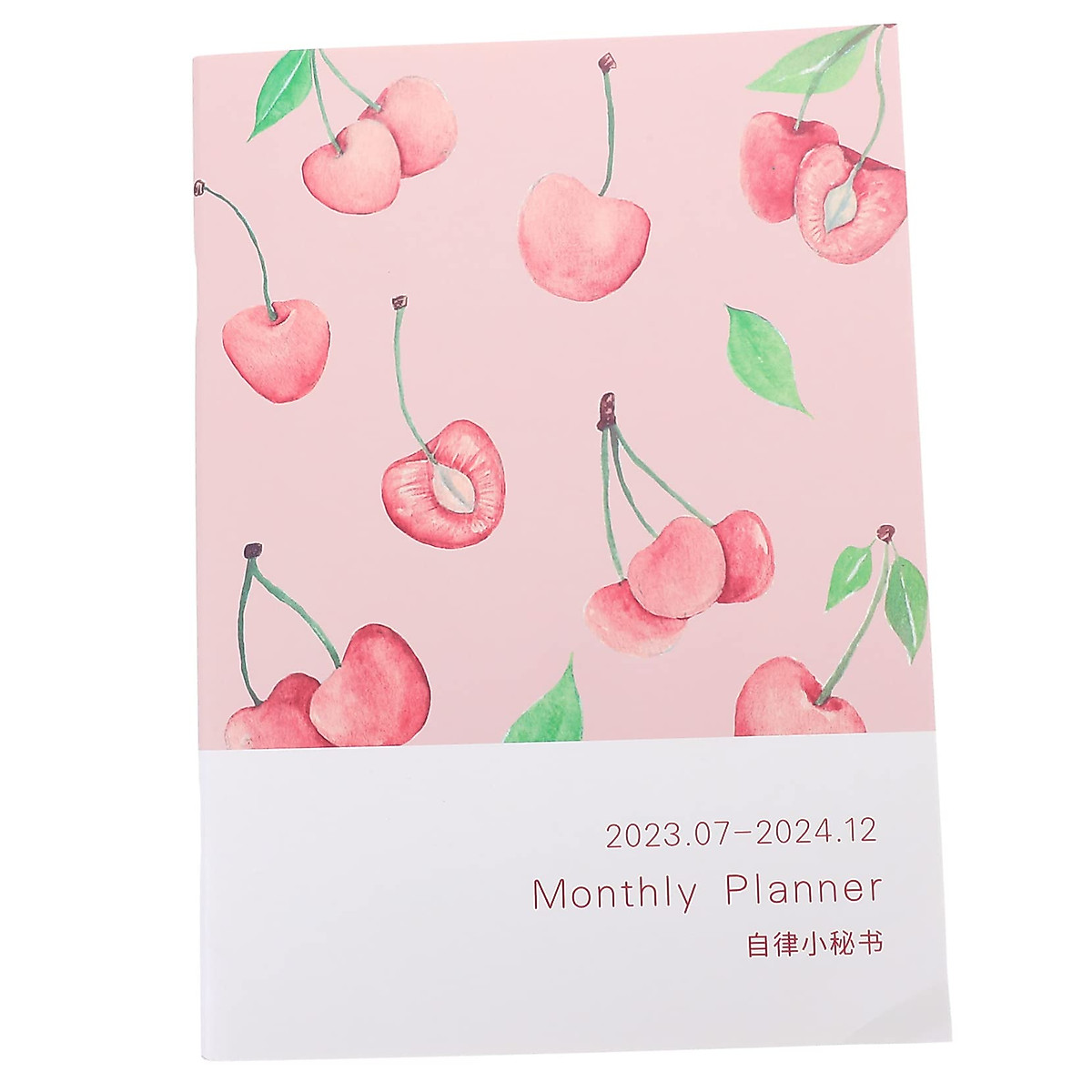 Tofficu 5pcs Calendar Planner Workout Calendar 2023 Budget Notepad Appointment Planner Diary Notepad Planner Notebook 2023-2024 Planner Monthly Planner Paper Dating Calendar Book Pocket