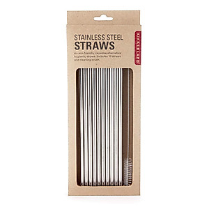 Stainless Steel Straws - Set of 10