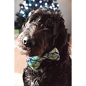 Huxley & Kent Pet Bow Tie | Lime Madras (Extra-Large) | Easter Pet Bow Tie Collar Attachment | Fun Bow Ties for Dogs & Cats | Cute, Comfortable, and Durable