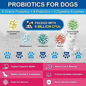 Dog Vitamins Powder, Probiotics for Dogs 180 Bites