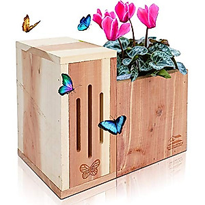 Solution4Patio USA Cedar Butterfly House & Flower Pot 2 in 1 Combination Multifunctional Design with Drainage Holes, 9.2 in. L x 5.7 in. W x 8.0 in. H #B309A00