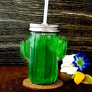 Cactus Mason Jar Glass - W/Lid