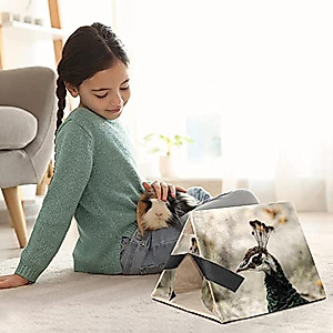 Y-DSIWX Guinea Pig Hideout House Bed, Peacock Pattern Rabbit Cave, Squirrel Chinchilla Hamster Hedgehog Nest Cage