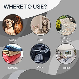 Skunk Off Skunk Odor Eliminator Pet Spray (32oz) - Ready To Use Skunk Odor Remover For Dogs, Cats, Home, Carpet, Car, Clothes & More – Skunk Spray w/ Non-Enzymatic Formula Safe For Pets & People