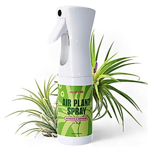 Air Plant Fertilizing Spray by Southside Plants - Fertilizer Mist for Houseplants, Weekly Plant Food - Gentle Mist Formula for Miracle Feed & Grow - 7.3 oz