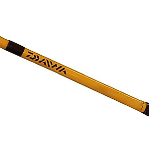 Daiwa 0001-4207 Fts1002Mfs' Surf Spinning