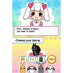 Petz Bunnyz - Nintendo DS